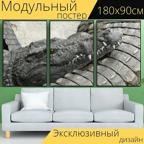 Модульный постер "Аллигатор, животное, крокодил" 180 x 90 см. для интерьера
