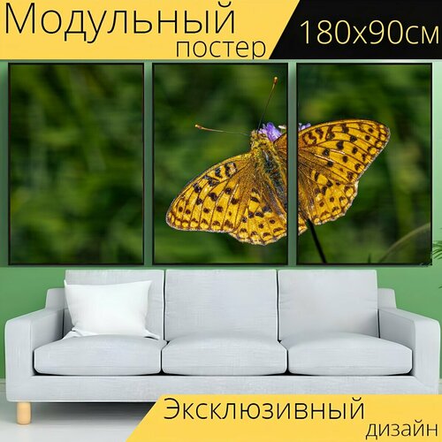 Модульный постер "Серебристая рябина, бабочка, насекомое" 180 x 90 см. для интерьера