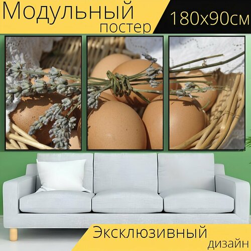 Модульный постер "Яйца, лаванда, сельское хозяйство" 180 x 90 см. для интерьера