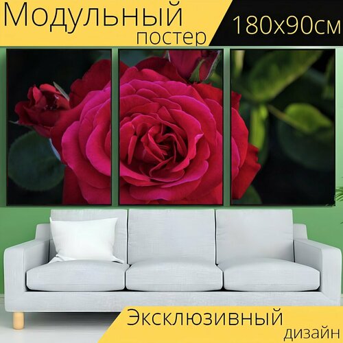 Модульный постер "Красная роза, зерновой, роуз" 180 x 90 см. для интерьера