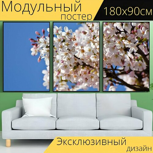 Модульный постер "Весна, дерево, филиал" 180 x 90 см. для интерьера