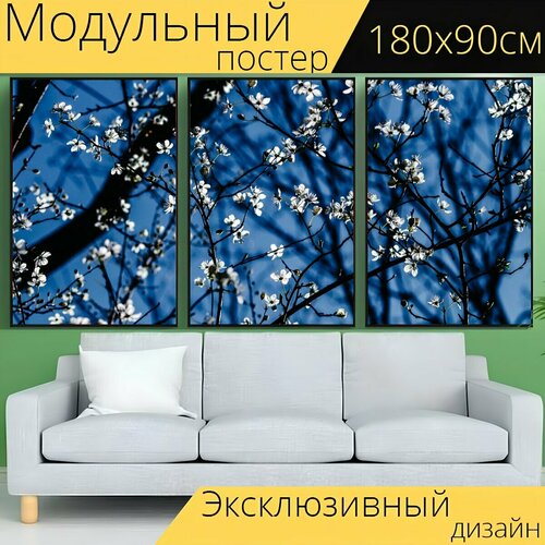 Модульный постер "Вишневое дерево, цвести, весна" 180 x 90 см. для интерьера