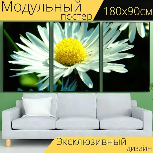 Модульный постер "Красивый цветок, желтый, сад" 180 x 90 см. для интерьера