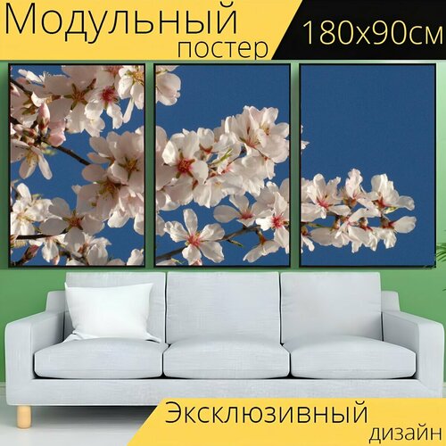 Модульный постер "Цветок, весна, миндальное дерево" 180 x 90 см. для интерьера