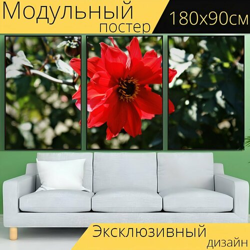 Модульный постер "Цветок, красный, сад" 180 x 90 см. для интерьера