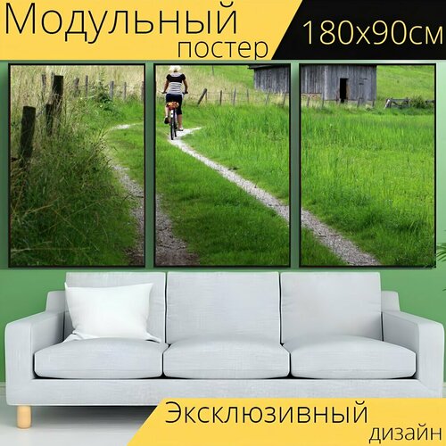 Модульный постер "Профессиональный велосипедист, цикл, отдых" 180 x 90 см. для интерьера