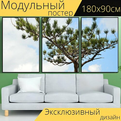 Модульный постер "Сосна, дерево, лес" 180 x 90 см. для интерьера