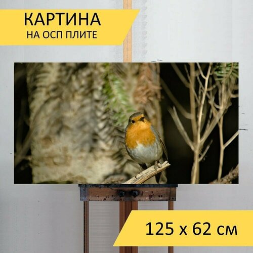 Картина на ОСП 125х62 см. "Робин, птица, певчая птица" горизонтальная, для интерьера, с креплениями