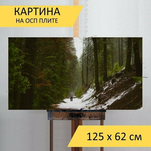 Картина на ОСП 125х62 см. "Пейзаж, зима, лес" горизонтальная, для интерьера, с креплениями