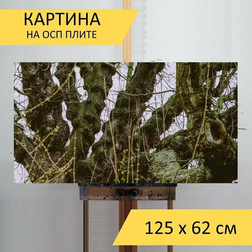 Картина на ОСП 125х62 см. "Дерево, старый, корявый" горизонтальная, для интерьера, с креплениями