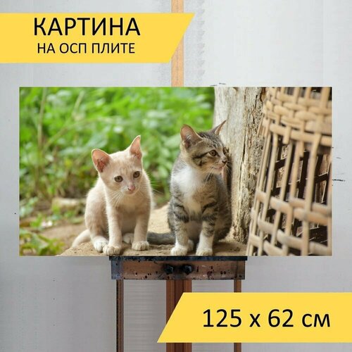 Картина на ОСП 125х62 см. "Кошки, котята, полосатый" горизонтальная, для интерьера, с креплениями