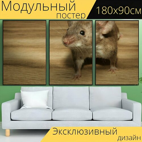 Модульный постер "Мышь, цвет мышь, древесина" 180 x 90 см. для интерьера