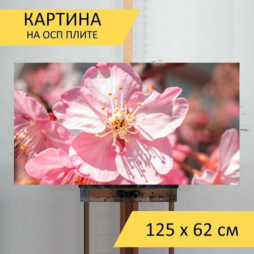 Картина на ОСП 125х62 см. "Сакура, весна, природа" горизонтальная, для интерьера, с креплениями