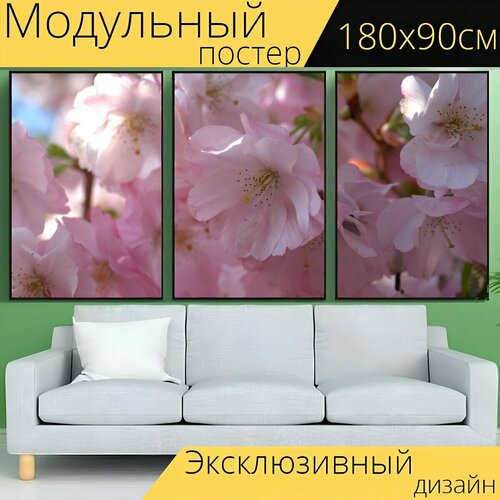 Модульный постер "Вишня в цвету, весна, вишня" 180 x 90 см. для интерьера