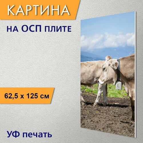Вертикальная картина на ОСП "Корова, выкл, австрия" 62x125 см. для интерьериа