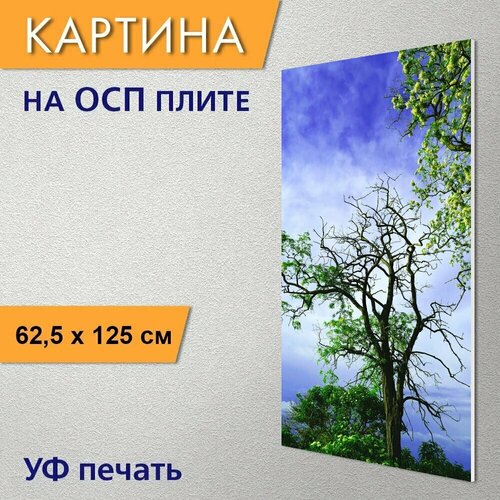 Вертикальная картина на ОСП "Дерево, столб, природа" 62x125 см. для интерьериа