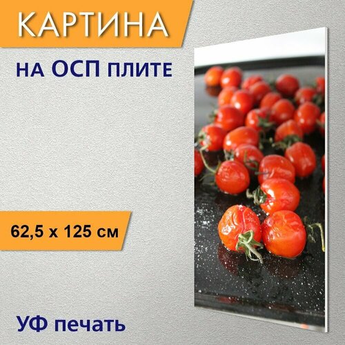 Вертикальная картина на ОСП "Помидоры, еда, овощи" 62x125 см. для интерьериа