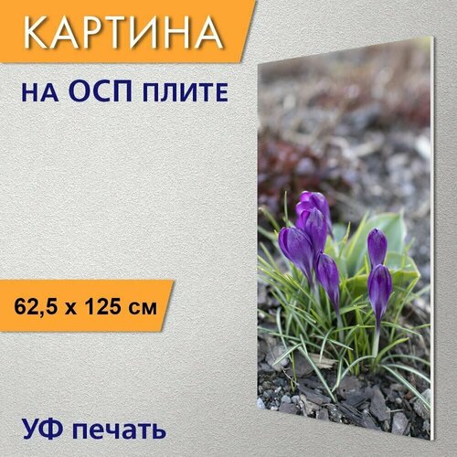Вертикальная картина на ОСП "Крокус, шафран, весна" 62x125 см. для интерьериа