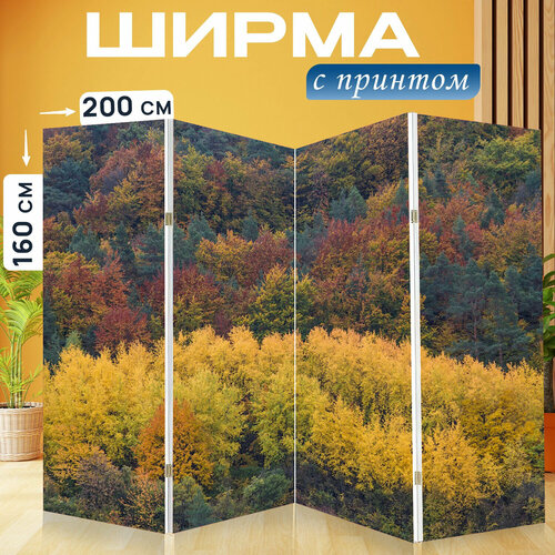 Ширма перегородка с принтом "Лес, деревья, осень" на холсте - 200x160 см. для зонирования, раскладная