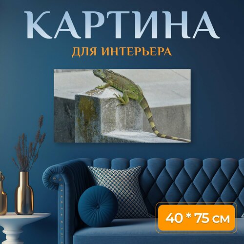 Картина на холсте "Игуана, ящерицы, рептилии" на подрамнике 75х40 см. для интерьера