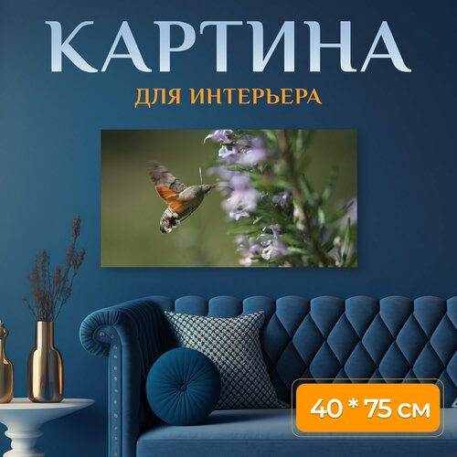 Картина на холсте "Колибри бражник, насекомое, цветок" на подрамнике 75х40 см. для интерьера