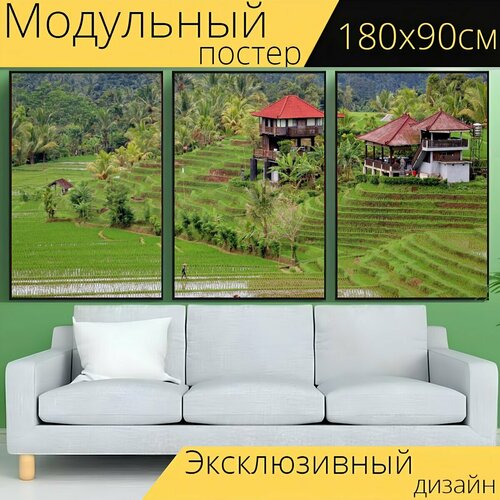 Модульный постер "Бали, пейзаж, рисовое поле" 180 x 90 см. для интерьера