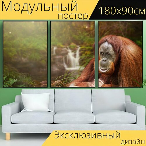 Модульный постер "Фотомонтаж, орангутанг, младенец" 180 x 90 см. для интерьера