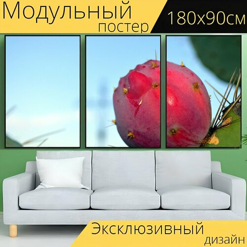 Модульный постер "Колючая груша, крест, саленто" 180 x 90 см. для интерьера