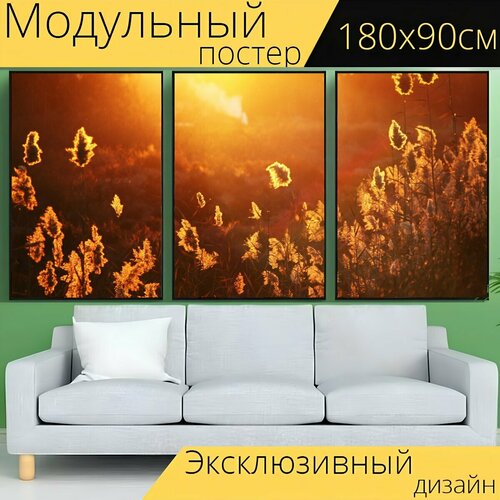 Модульный постер "Листья, апельсин, заход солнца" 180 x 90 см. для интерьера