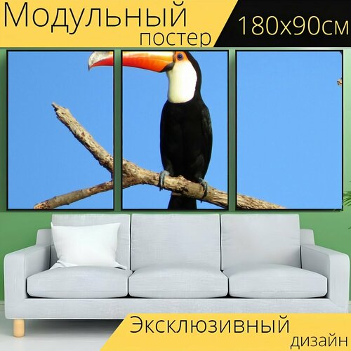 Модульный постер "Тукан, птица, оперение" 180 x 90 см. для интерьера