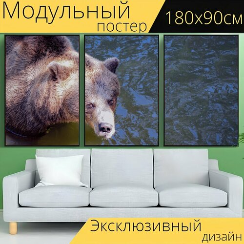 Модульный постер "Нести, бурый медведь, вода" 180 x 90 см. для интерьера