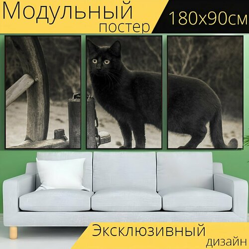 Модульный постер "Кошка, черный, кот" 180 x 90 см. для интерьера