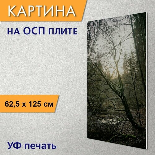 Вертикальная картина на ОСП "Ручей, лес, солнце" 62x125 см. для интерьериа