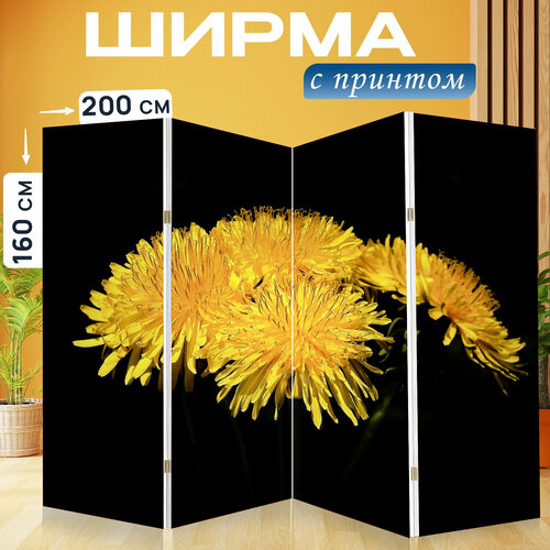 Ширма перегородка с принтом "Одуванчик, цветок, рисунок" на холсте - 200x160 см. для зонирования, раскладная