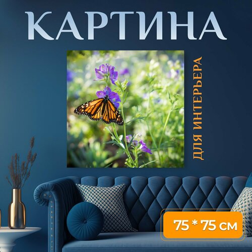 Картина на холсте "Бабочка монарх, фиолетовый цветок, апельсин" на подрамнике 75х75 см. для интерьера