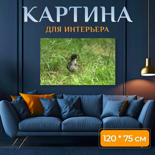 Картина на холсте "Курица, кувшины, весна" на подрамнике 120х75 см. для интерьера