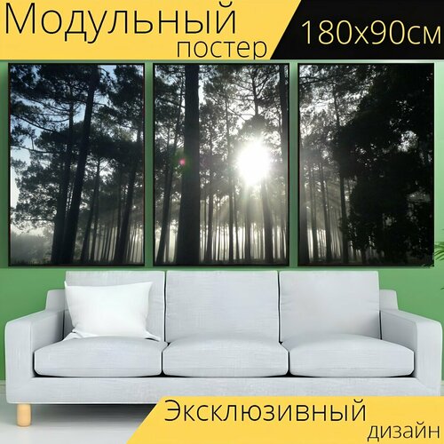 Модульный постер "Деревья, туман, лес" 180 x 90 см. для интерьера