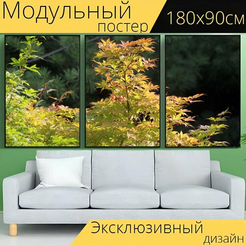 Модульный постер "Кленовое дерево, кленовый лист, дерево" 180 x 90 см. для интерьера