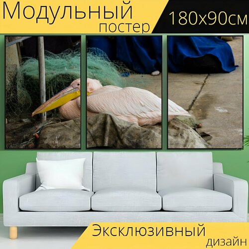 Модульный постер "Пеликан, птица, животное" 180 x 90 см. для интерьера