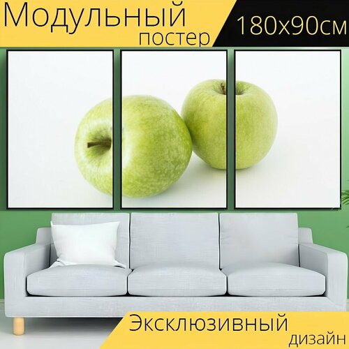 Модульный постер "Яблоки, изолированные, зеленый" 180 x 90 см. для интерьера