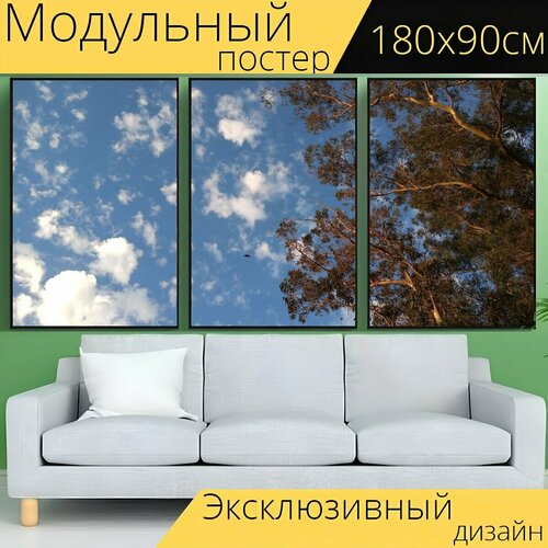 Модульный постер "Природа, облако, эвкалипт" 180 x 90 см. для интерьера