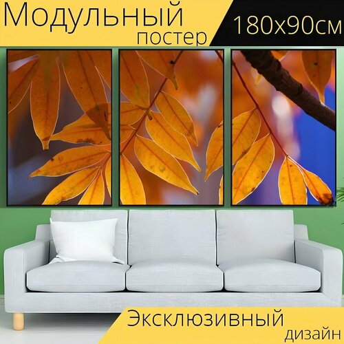 Модульный постер "Желтые листья, осенние листья, красный" 180 x 90 см. для интерьера