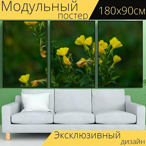 Модульный постер "Желтый, полевой цветок, осень" 180 x 90 см. для интерьера