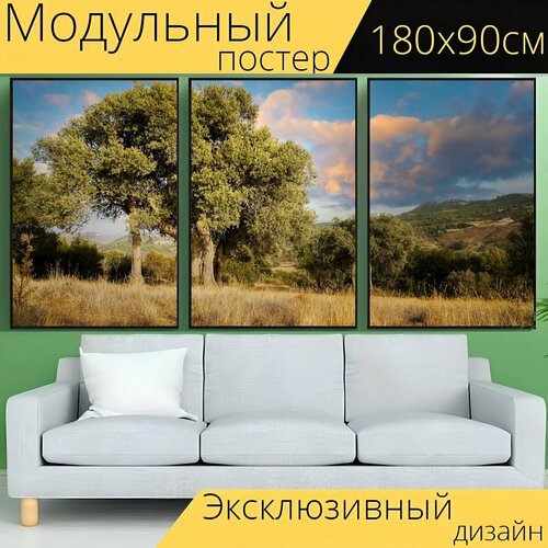 Модульный постер "Оливковые деревья, деревья, оливковая роща" 180 x 90 см. для интерьера
