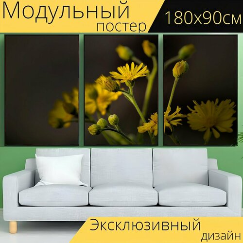 Модульный постер "Цветок, природа, флора" 180 x 90 см. для интерьера