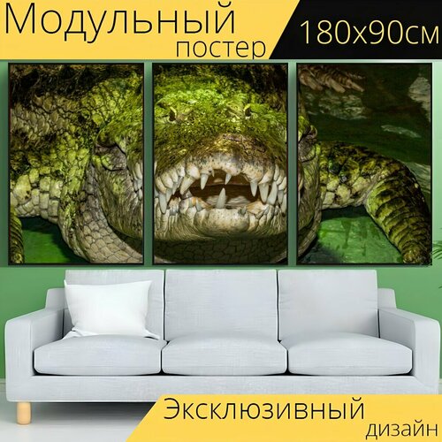 Модульный постер "Рептилия, природа, дикая природа" 180 x 90 см. для интерьера