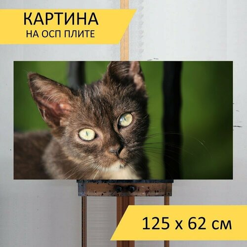 Картина на ОСП 125х62 см. "Кошка, черный кот, котенок" горизонтальная, для интерьера, с креплениями