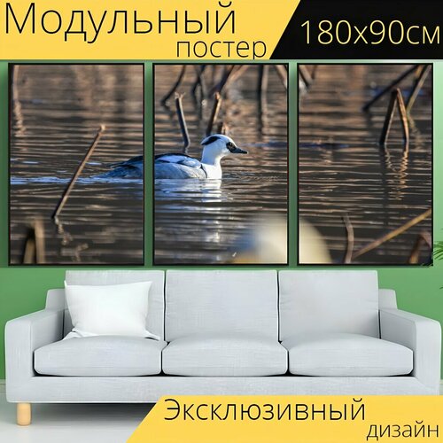 Модульный постер "Животное, пруд, вода" 180 x 90 см. для интерьера