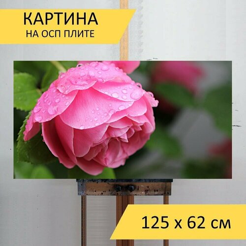 Картина на ОСП 125х62 см. "Цветок, природа, роза" горизонтальная, для интерьера, с креплениями