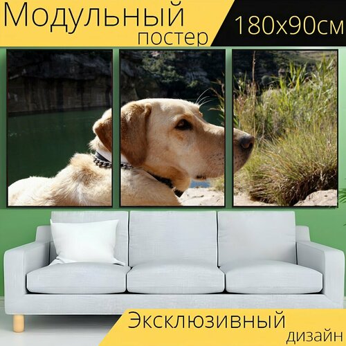 Модульный постер "Пасхальная накидка, собака, лабрадор" 180 x 90 см. для интерьера